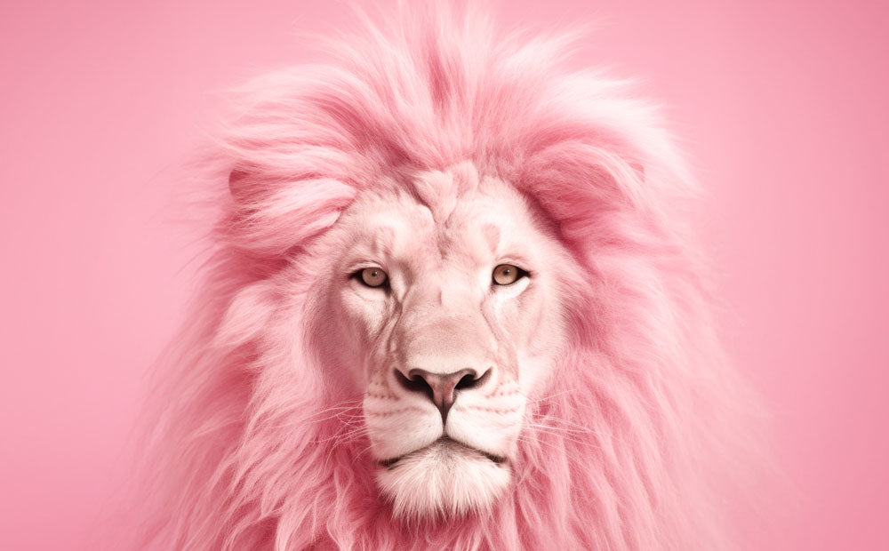 The Rainbow Collection - The Crown Prints