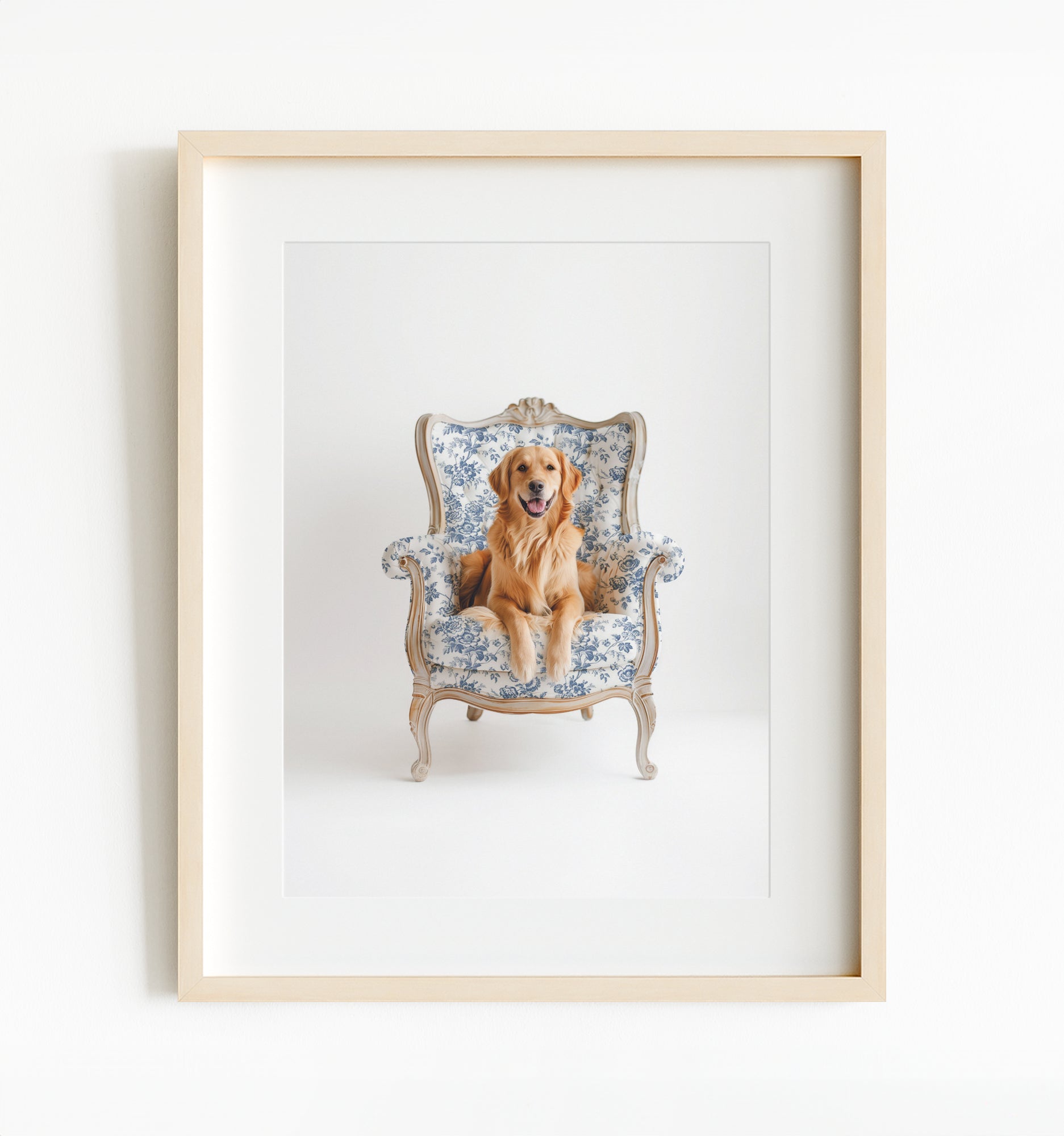 Golden Retriever Dog on Chair - The Crown Prints