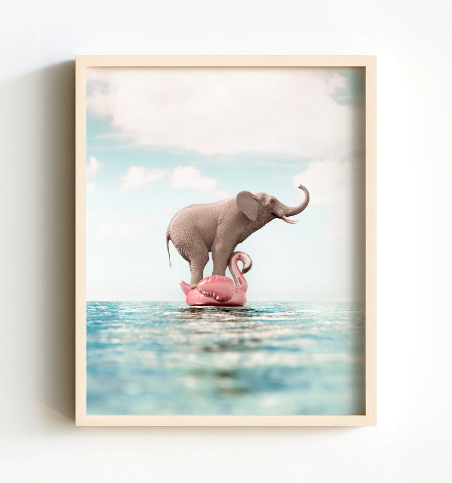 Animals in Unusual Situations - The Crown Prints