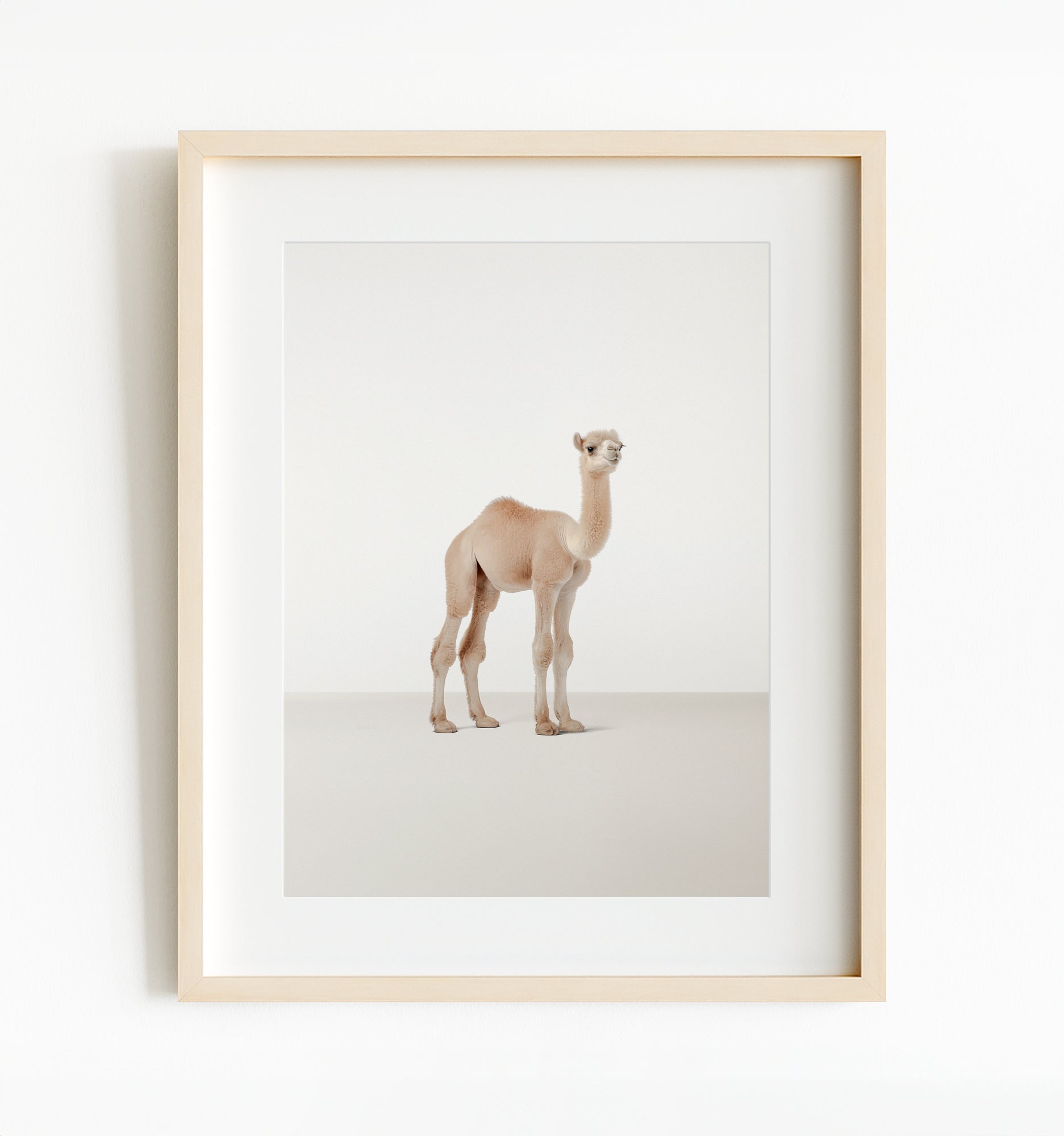 Studio Camel Art Print - The Crown Prints