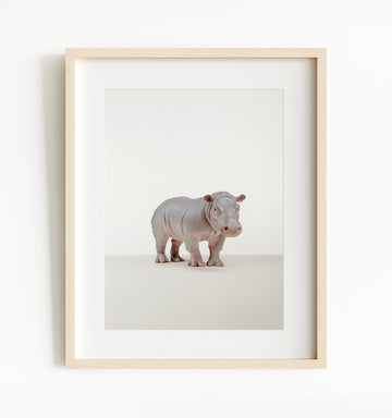 Studio Animals - The Crown Prints