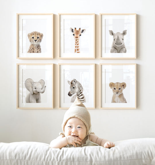 The Baby Animals Print Collection 🐿 - The Crown Prints