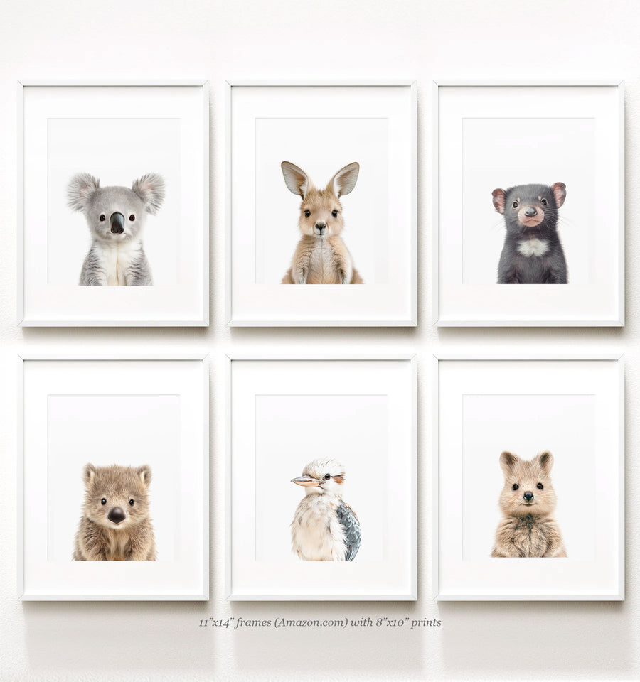 Baby Australian Animals Set of 6 - Poster Prints for Nursery and Kids ...