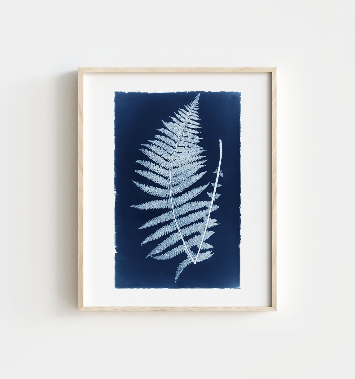 Botanical Cyanotype No. 1 - The Crown Prints