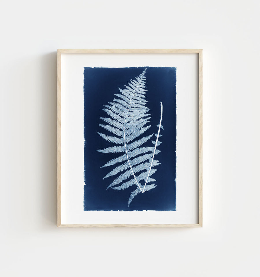 Botanical Cyanotype No. 1 - The Crown Prints
