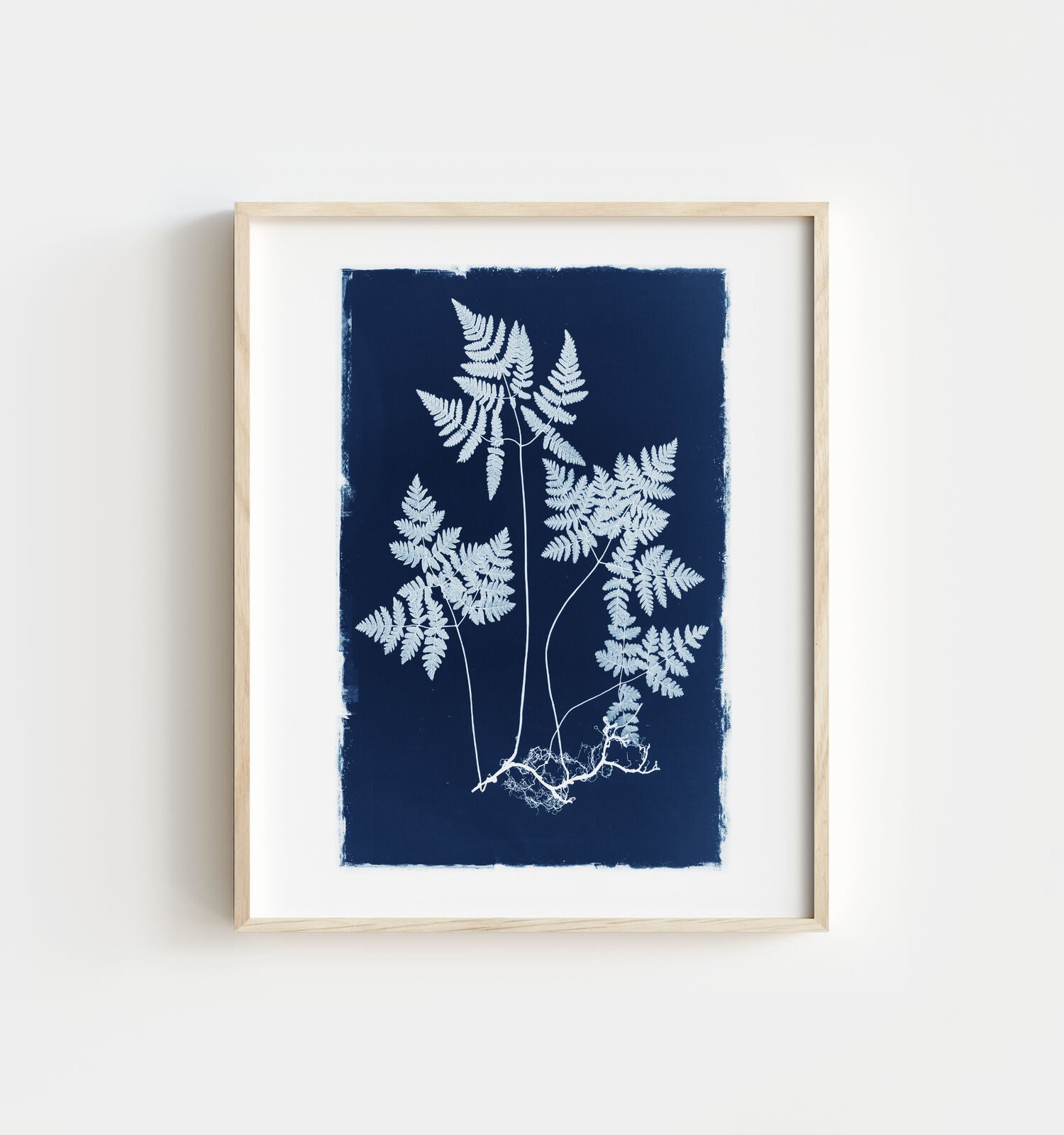 Botanical Cyanotype No. 2 - The Crown Prints