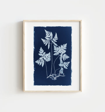 Botanical Cyanotype No. 2 - The Crown Prints