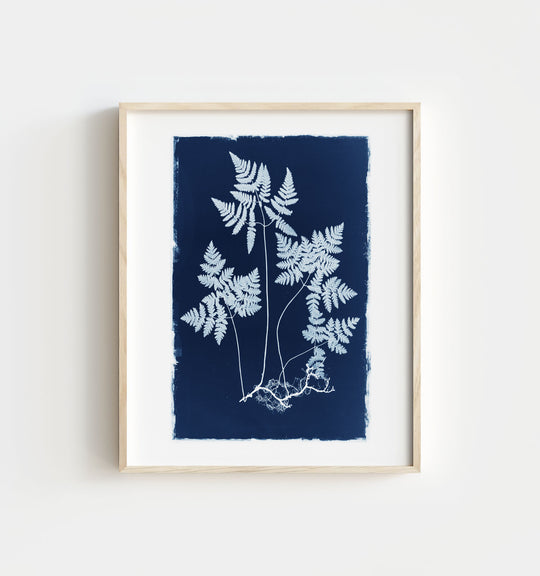 Botanical Cyanotype No. 2 - The Crown Prints