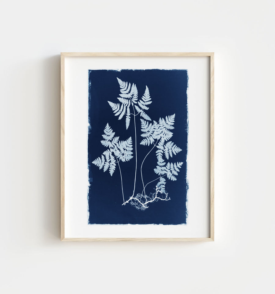Botanical Cyanotype No. 2 - The Crown Prints