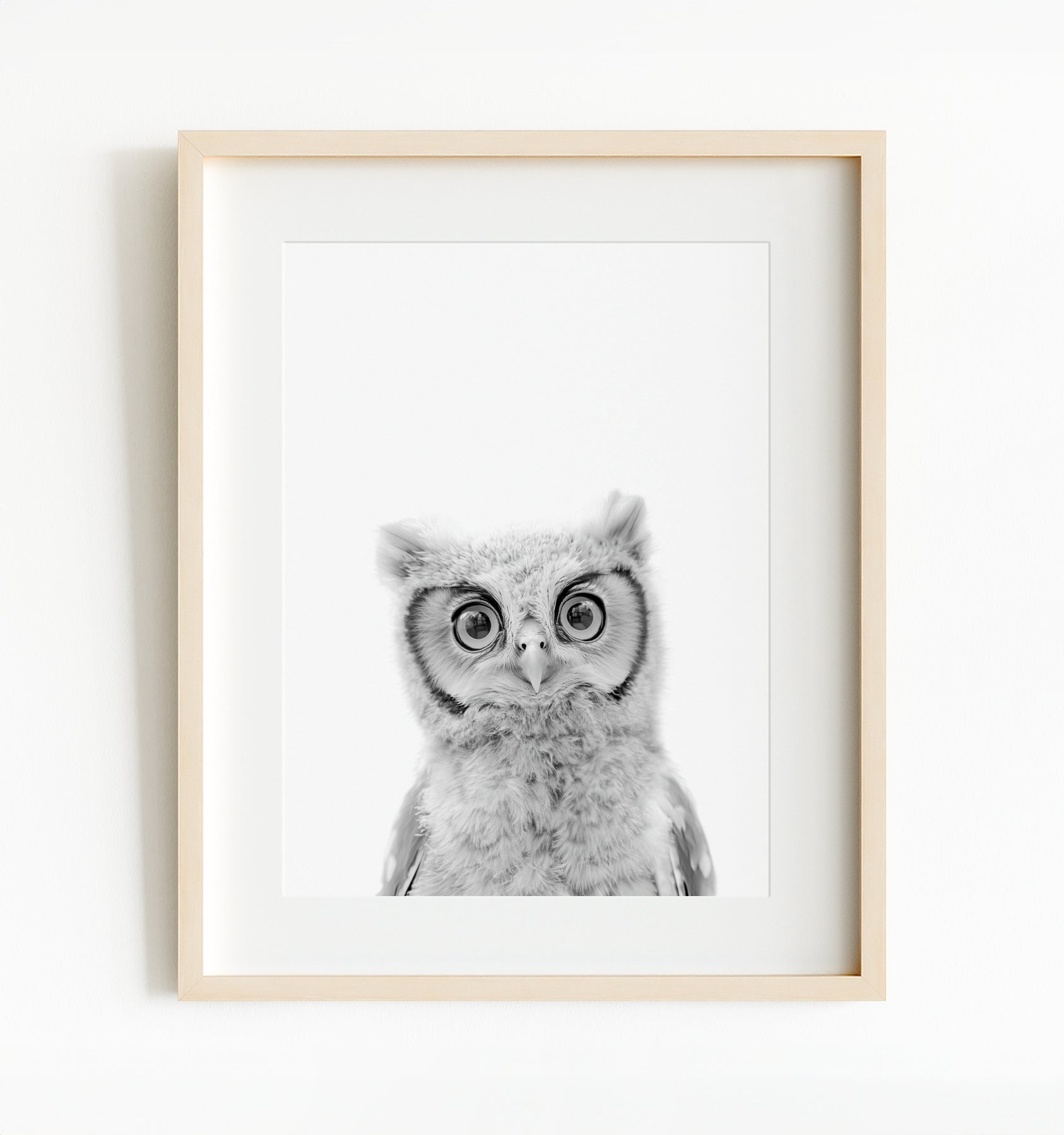 how to draw owls baby