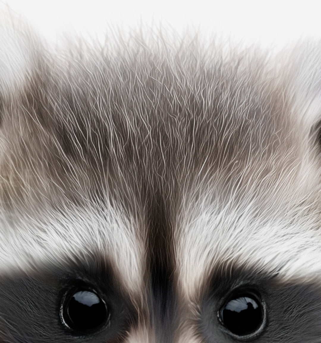 Raccoon Print - Woodland animal nursery art by The Crown Prints - The ...