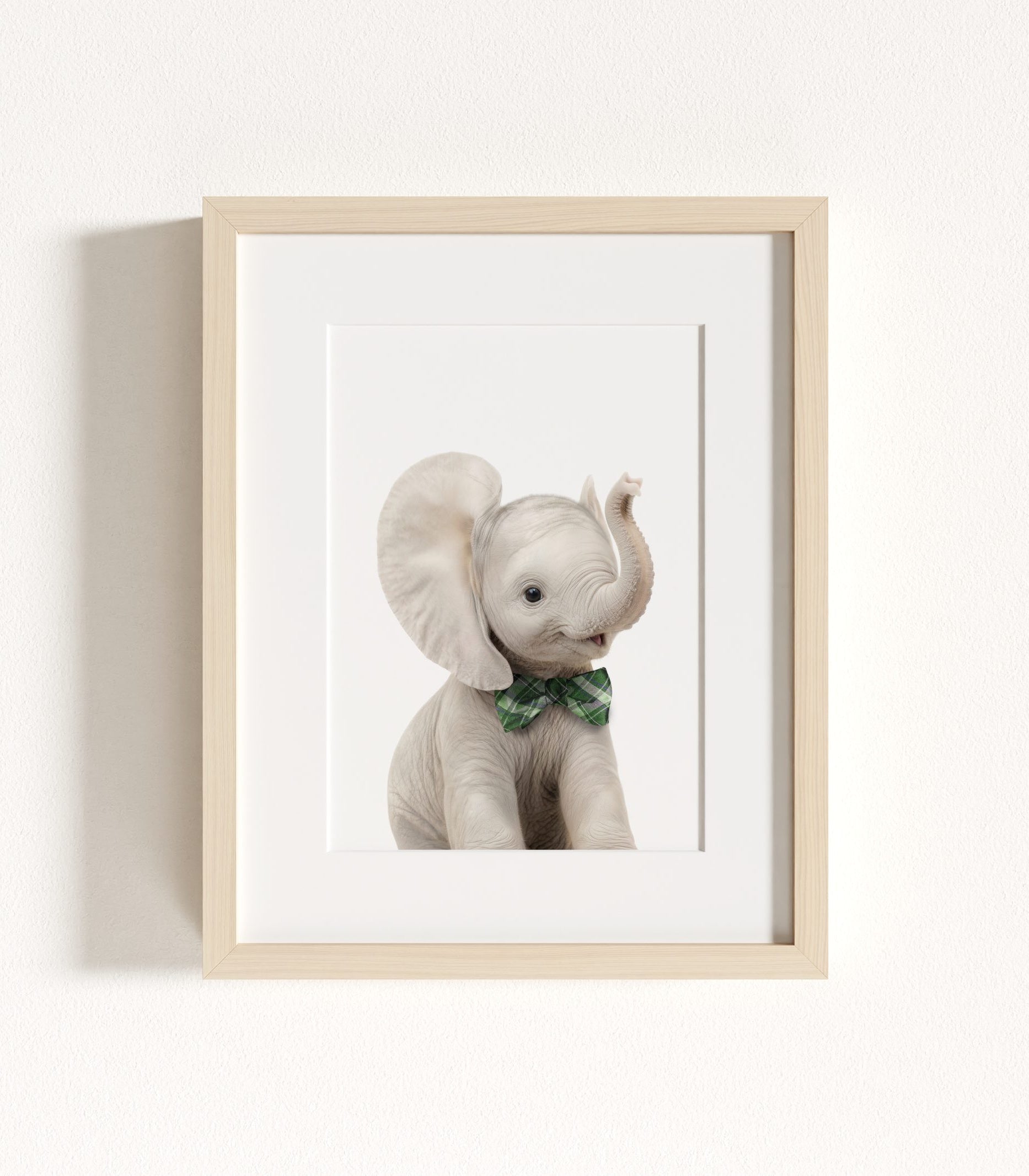 The Baby Animals Collection - Classic – The Crown Prints