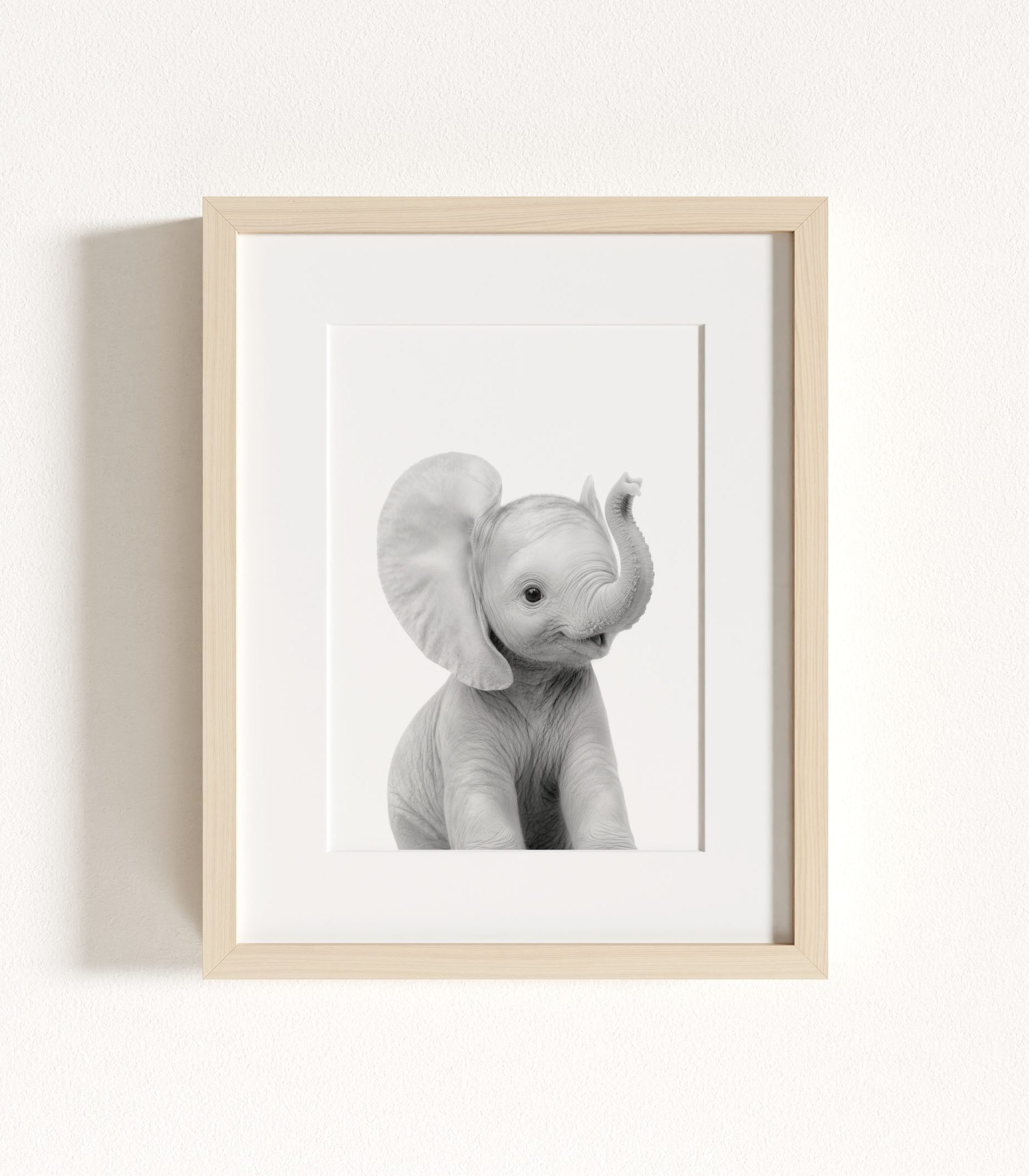 The Baby Animals Collection - Classic – The Crown Prints