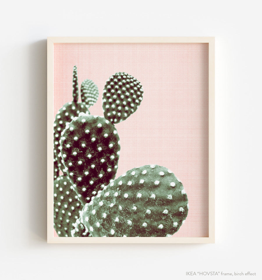 Cactus Prints - The Crown Prints