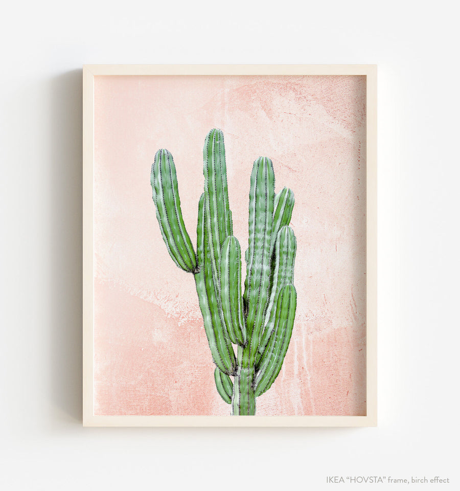 Cactus Prints - The Crown Prints