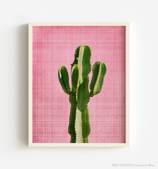 Cactus Prints - The Crown Prints