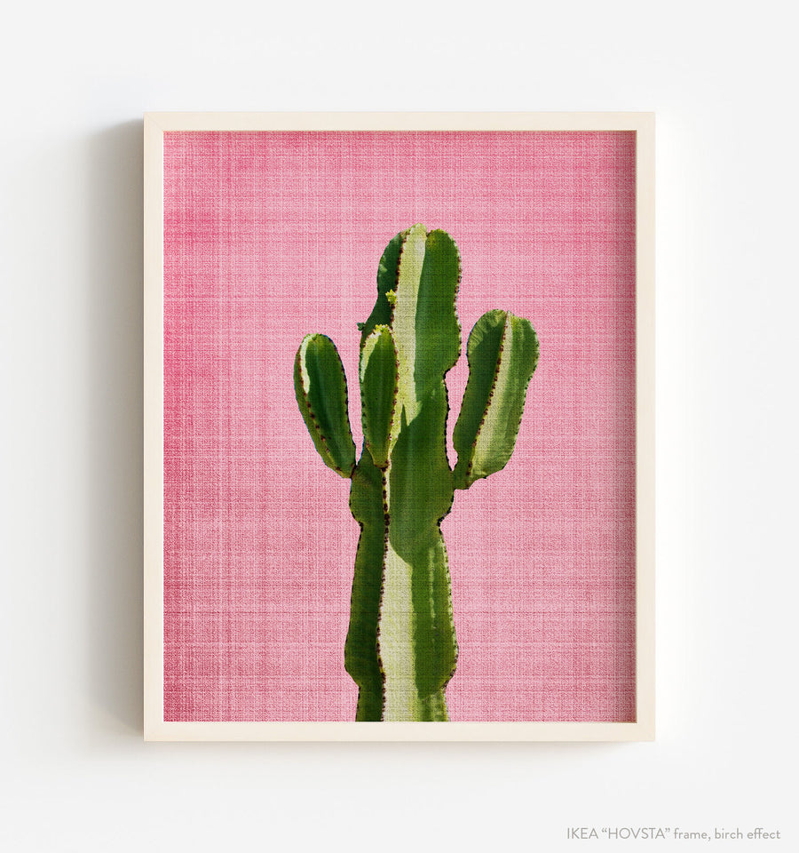 Cactus Prints - The Crown Prints