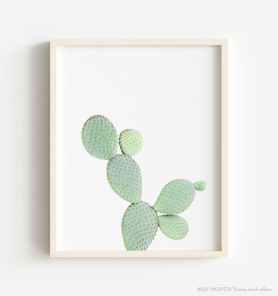 Cactus Prints - The Crown Prints