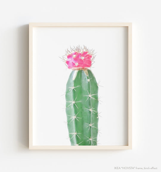 Cactus Prints - The Crown Prints