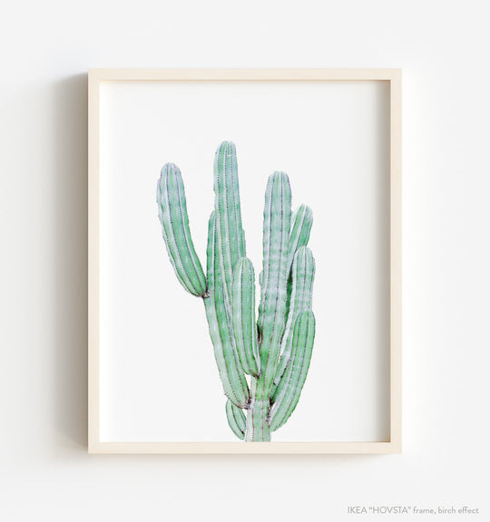 Cactus Prints - The Crown Prints