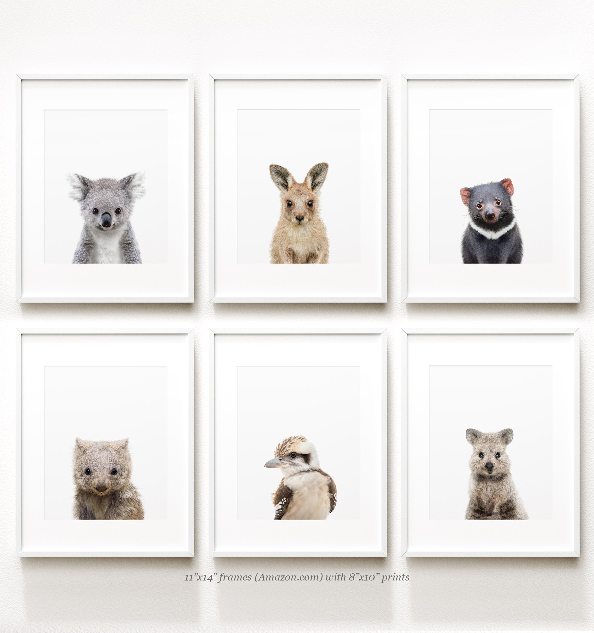 Baby Australian Animals Set of 6 - Poster Prints for Nursery and Kids ...