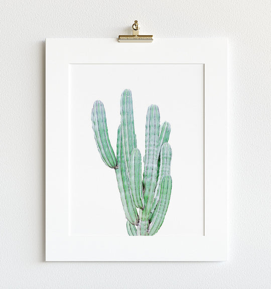 Cactus Prints - The Crown Prints