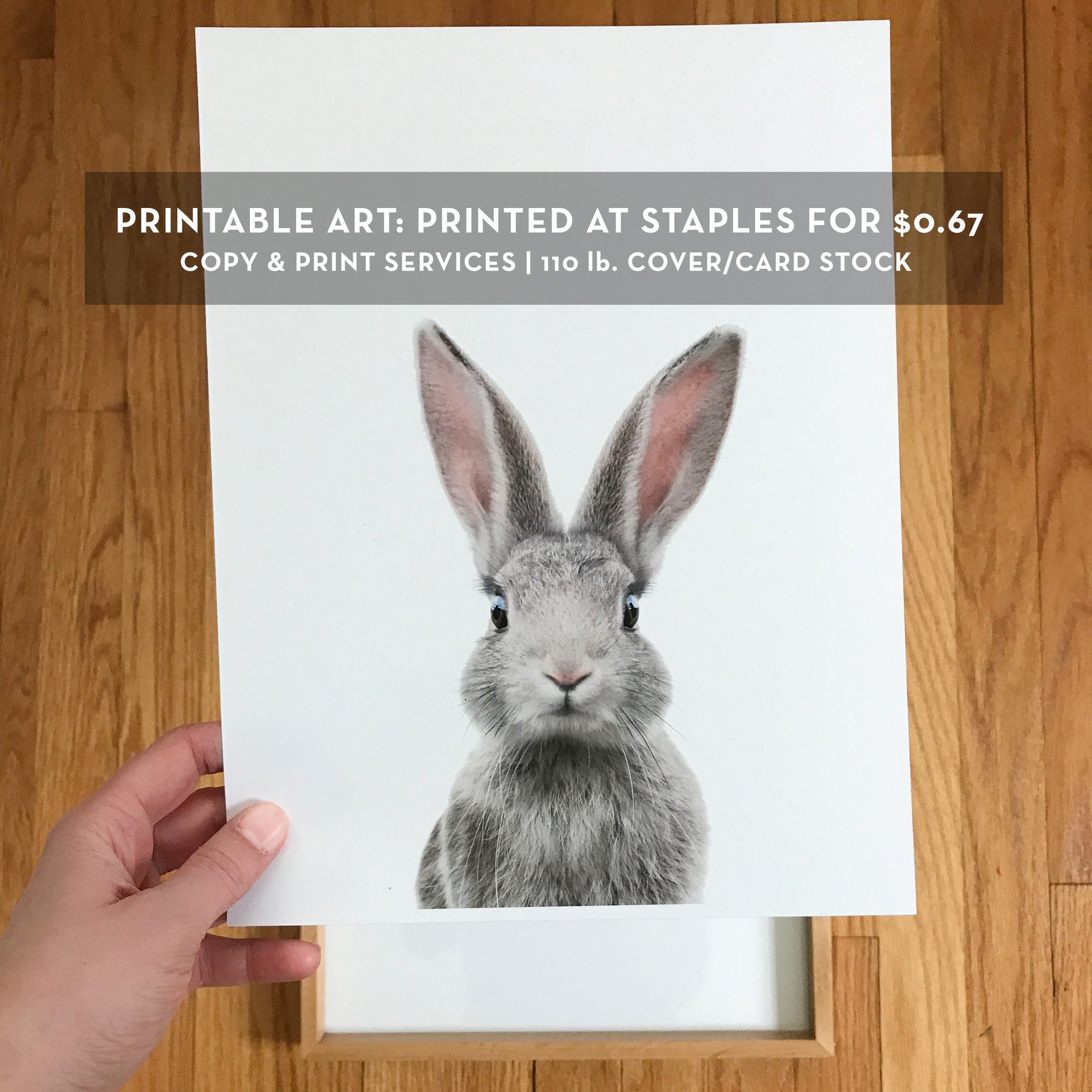 Baby Rabbits - Heads and Tails - Set of 2 Nursery Art Prints - The ...